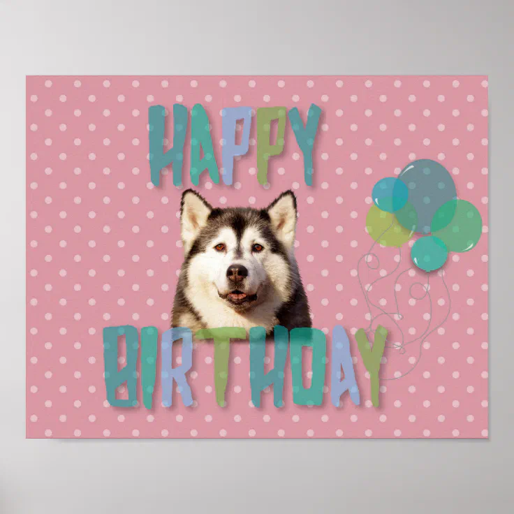 Siberian Husky Dog Happy Birthday Poster | Zazzle