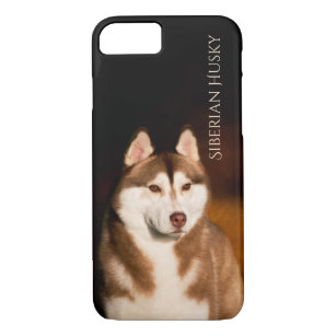 Husky iPhone Cases & Covers | Zazzle CA
