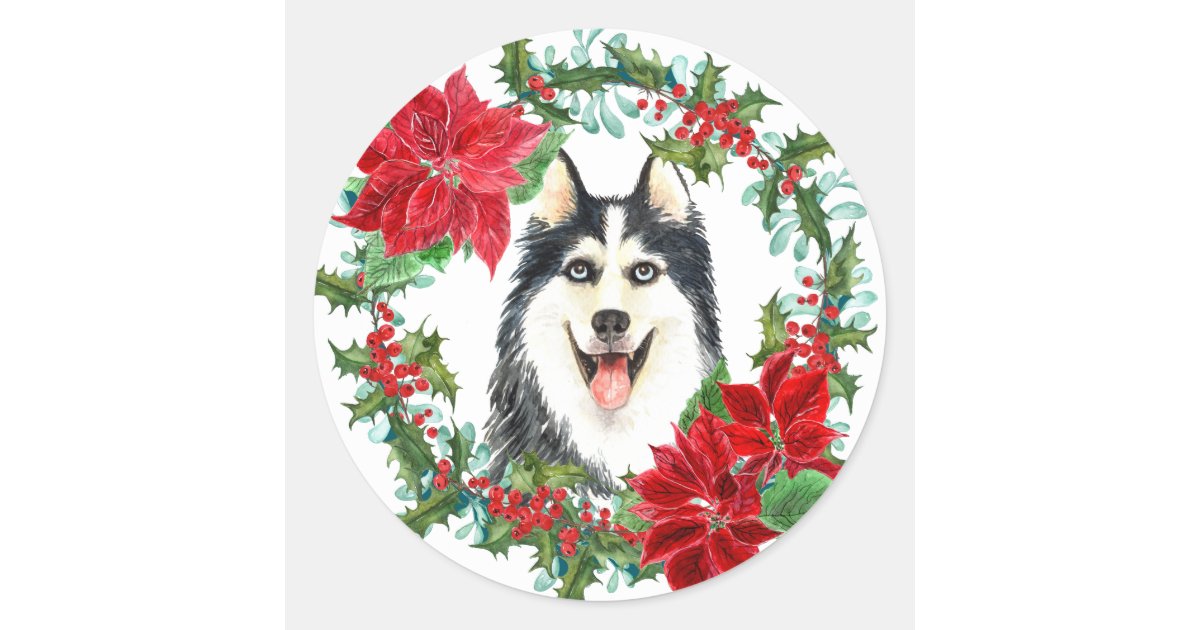 Siberian Husky Poinsettia Holly Christmas Wreath Classic Round Sticker ...