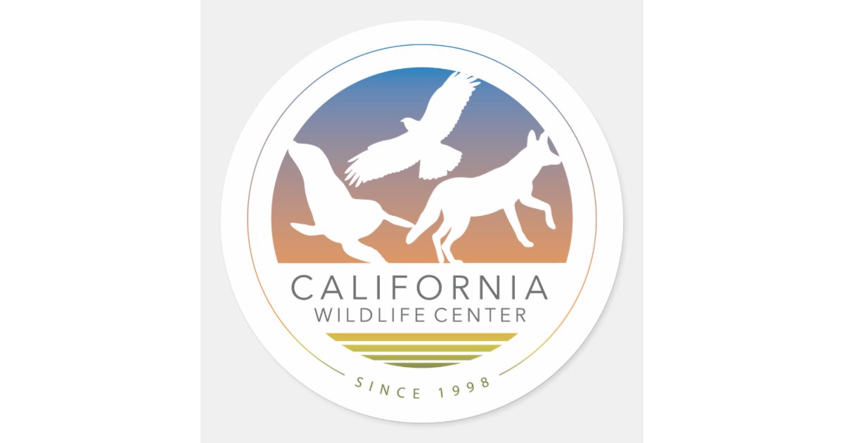 Six CWC Logo Sticker | Zazzle