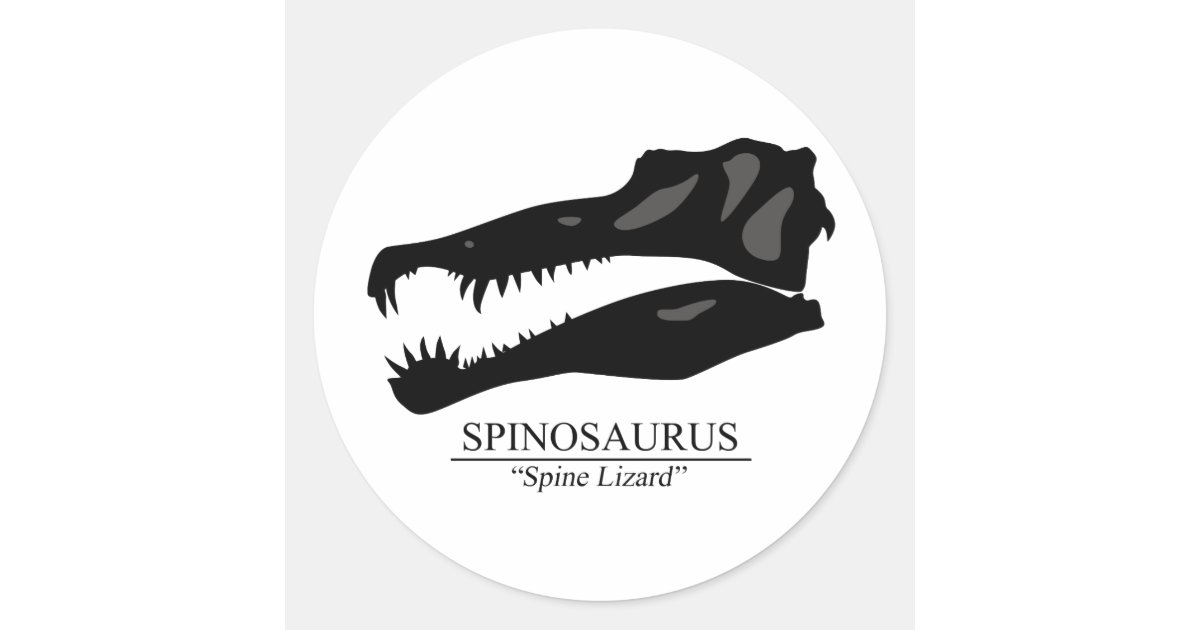 Spinosaurus Skull Classic Round Sticker | Zazzle