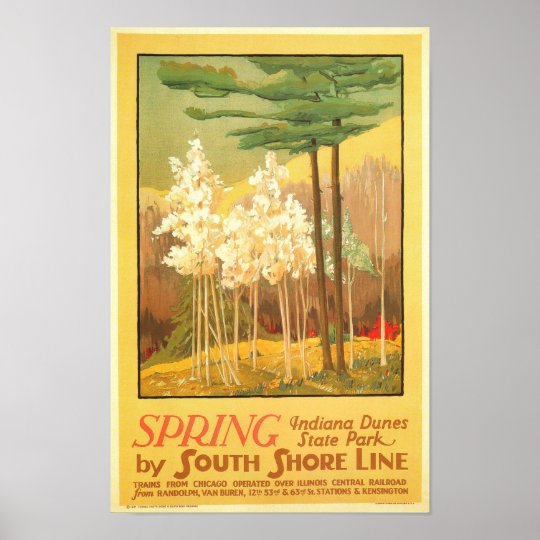 Spring in Indiana Dunes State Park Poster | Zazzle.ca