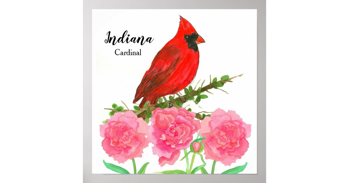 State Bird of Indiana Red Cardinal Peonies Poster | Zazzle