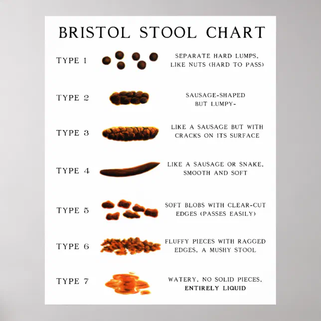 Stool Chart | Zazzle