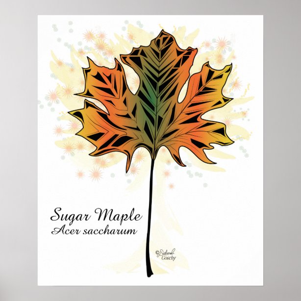 Red Maple Leaf Posters, Prints & Poster Printing | Zazzle CA