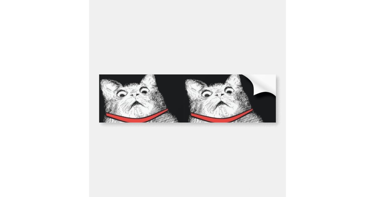 Surprised Cat Gasp Meme - Bumper Sticker | Zazzle