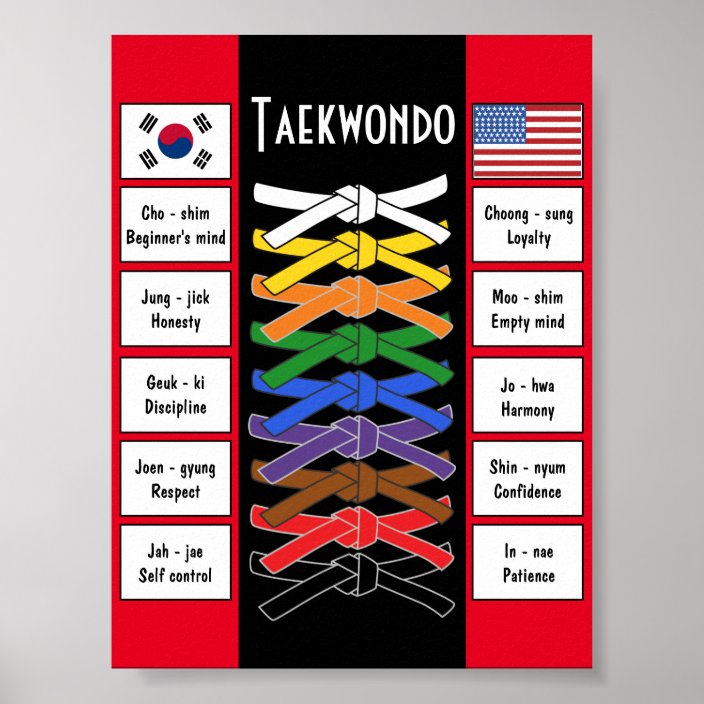 Taekwondo poster | Zazzle.ca