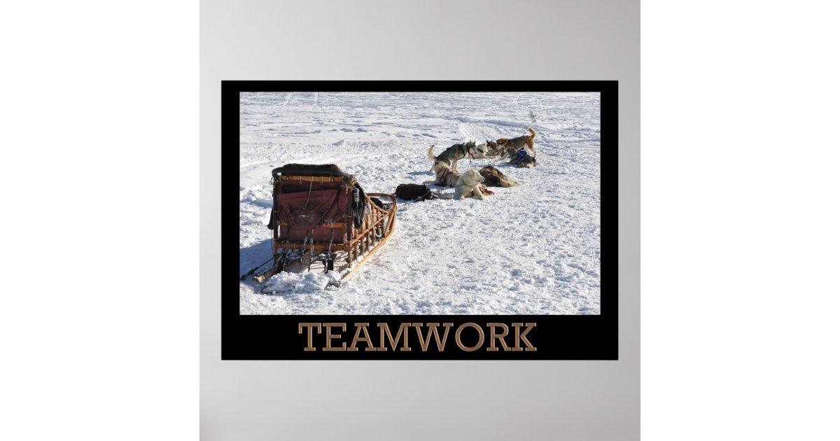 Teamwork Dog Sled Poster | Zazzle