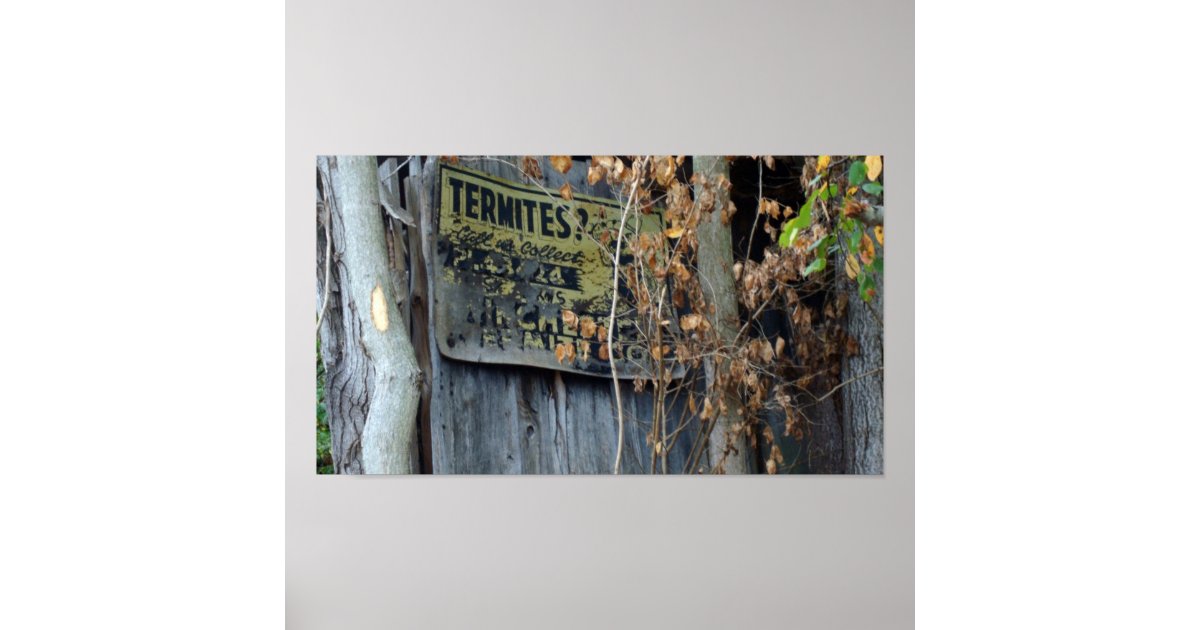 Termites? Poster | Zazzle