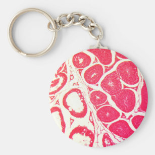 Testicle Keychains & Key Rings | Zazzle CA