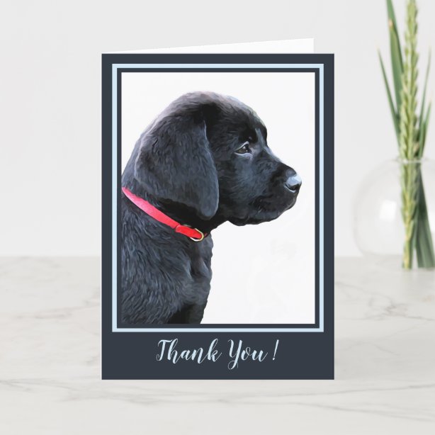 Labrador Puppy Thank You Cards | Zazzle CA
