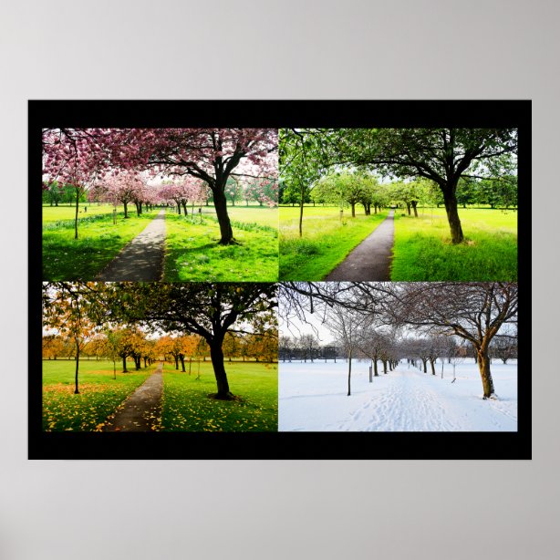 The Four Seasons Posters, Prints & Poster Printing | Zazzle CA