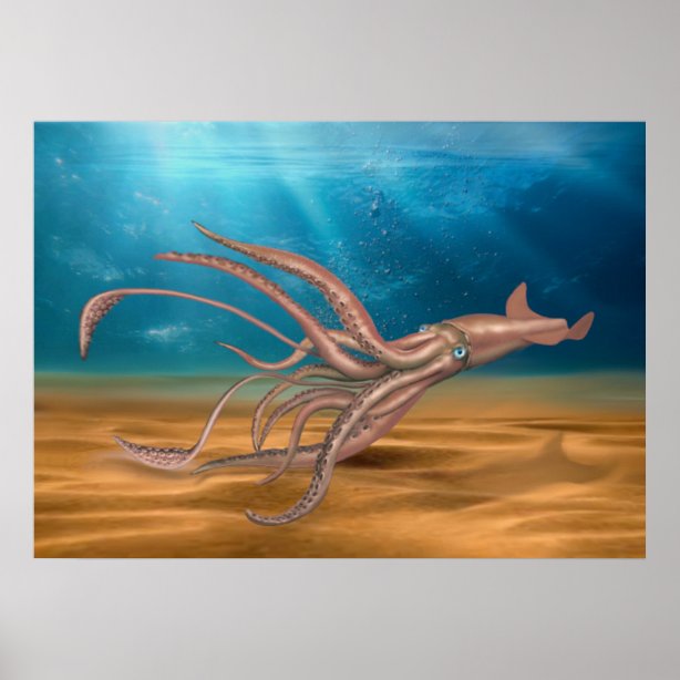Squid Posters, Prints & Poster Printing | Zazzle CA