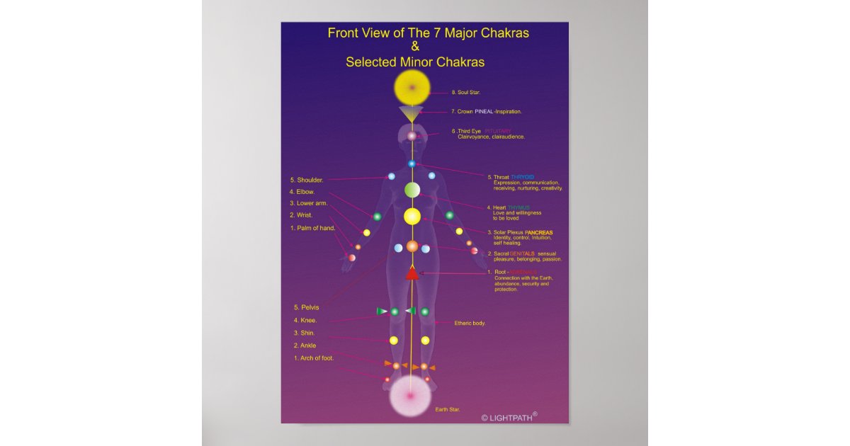 The Major and Minor Chakras Poster | Zazzle