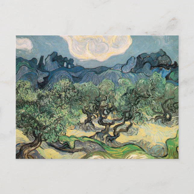 the olive trees,1889, Vincent van Gogh Postcard | Zazzle