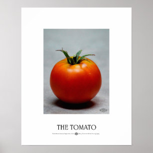 Tomatoes Posters, Prints & Poster Printing | Zazzle CA