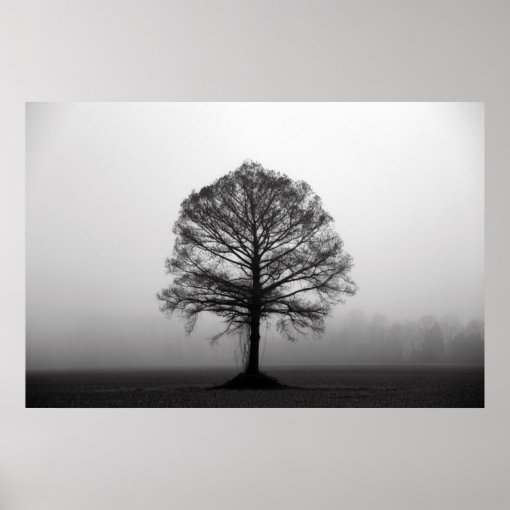 The Tree Poster | Zazzle