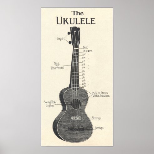 Ukulele Posters, Prints & Poster Printing | Zazzle CA