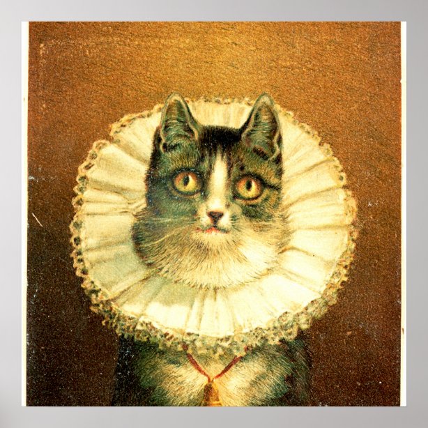 Vintage Cat Posters, Prints & Poster Printing | Zazzle CA