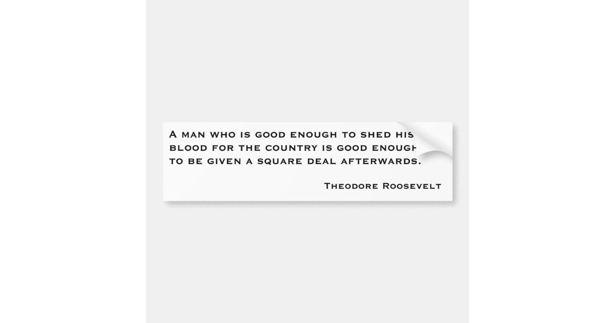 Theodore Roosevelt Quotes 2 Bumper Sticker | Zazzle