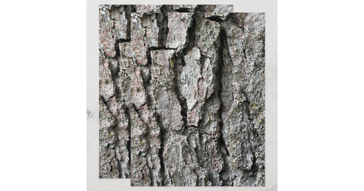 Tree Bark Nature Scrapbook Paper | Zazzle