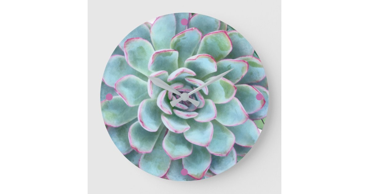 Turquoise Succulent Echeveria Large Clock | Zazzle