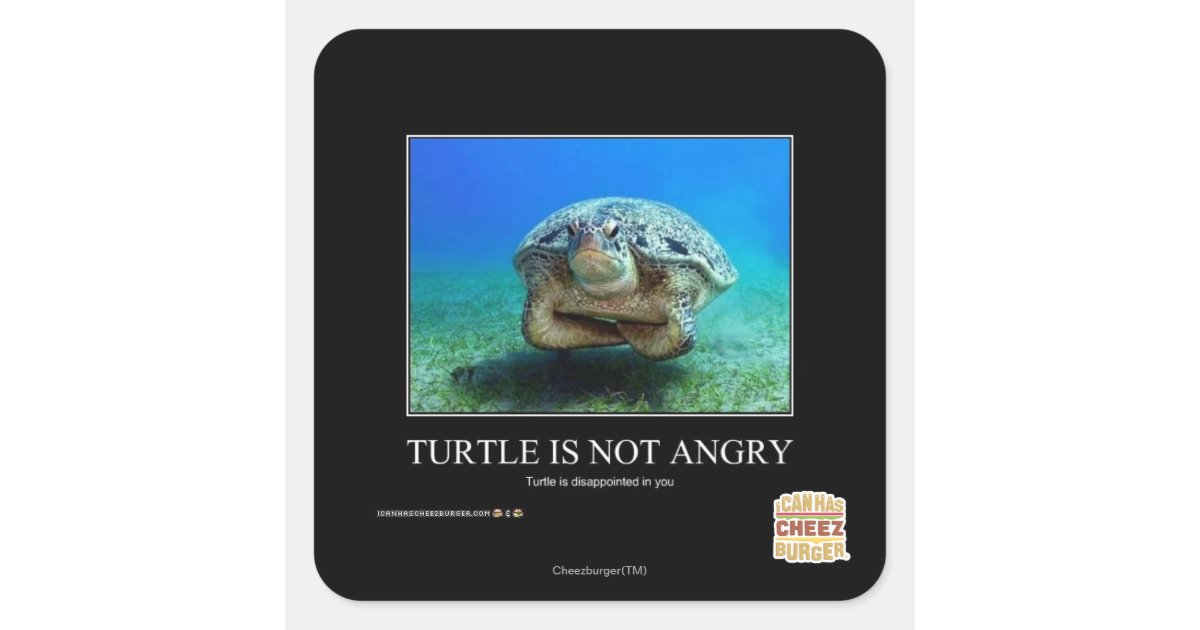 Turtle Is Not Angry Square Sticker | Zazzle