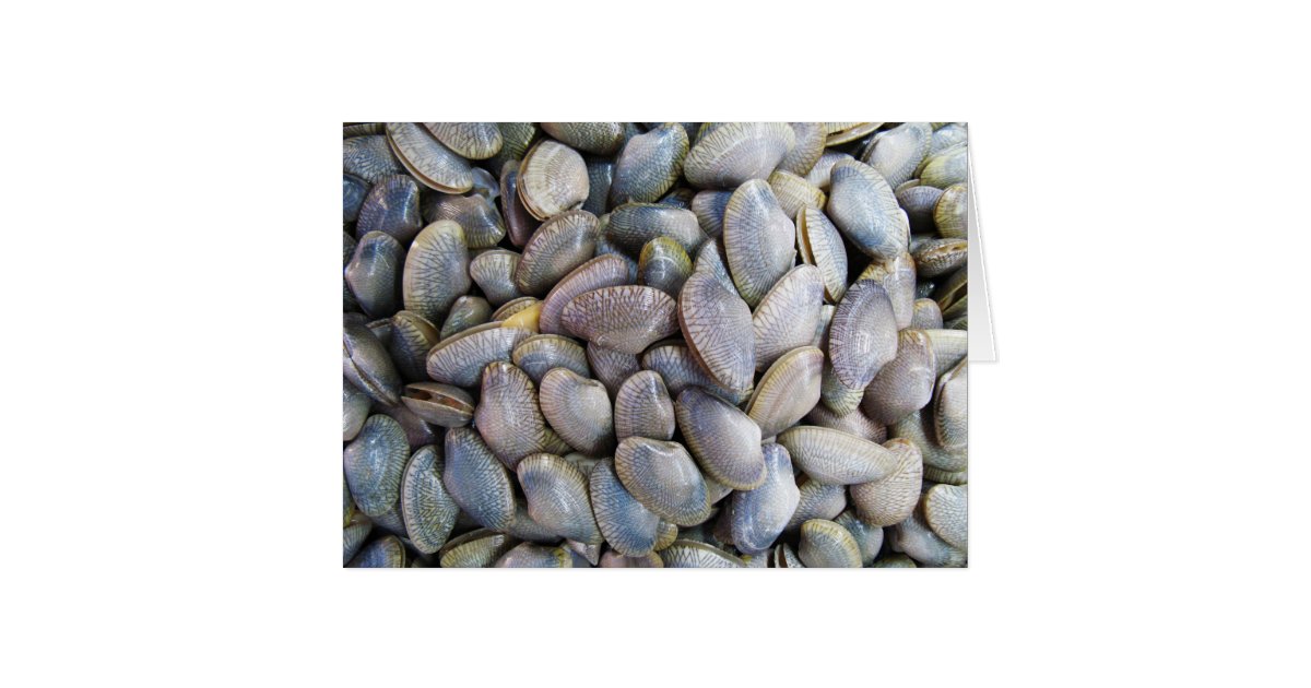 Venus Clam [หอยลาย] Card | Zazzle
