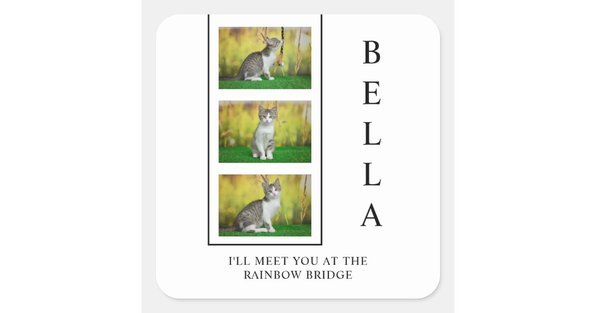 Vertical Pet Memorial Layout with Photo Trio Square Sticker | Zazzle