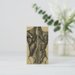 Vintage Back Anatomy Business Cards | Zazzle