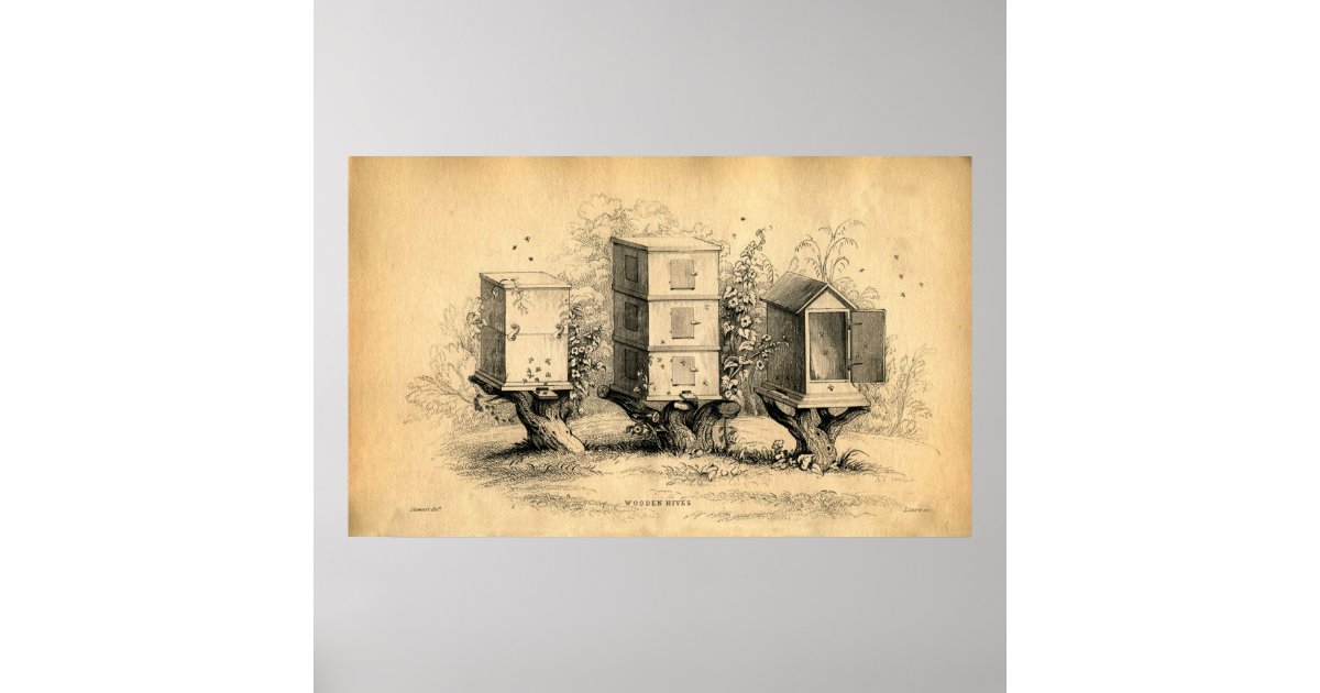 Vintage Beekeeping Beehives Beehive Print | Zazzle