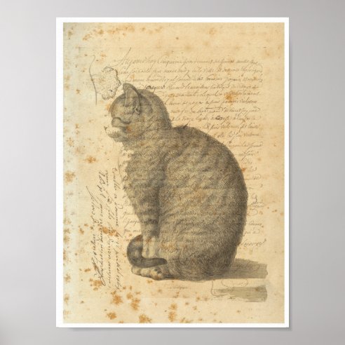 Vintage Cat Posters, Prints & Poster Printing | Zazzle CA
