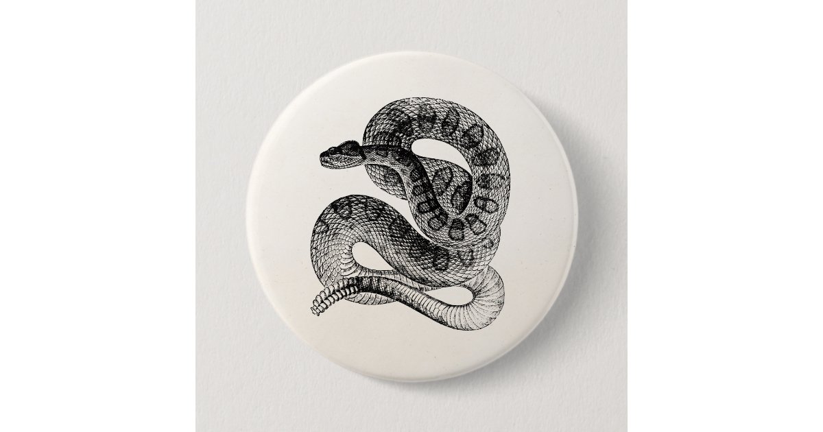 Vintage Rattlesnake Reptile Snake Template 3 Inch Round Button | Zazzle