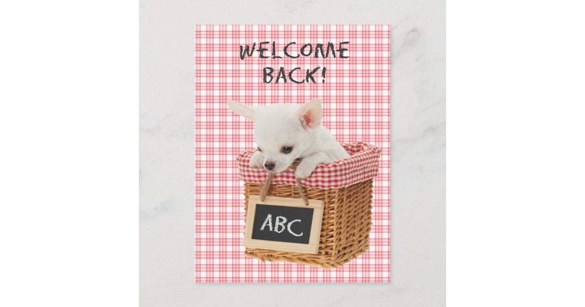 Welcome back puppy postcard | Zazzle