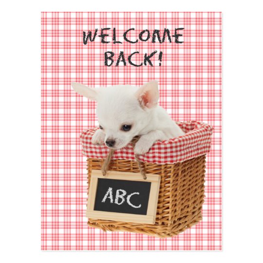 Welcome back puppy postcard | Zazzle.ca