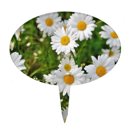 White Daisy Flower Cake Toppers | Zazzle.ca