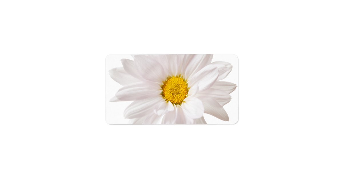 White Daisy Flowers Daisies Flower Floral Template Label | Zazzle