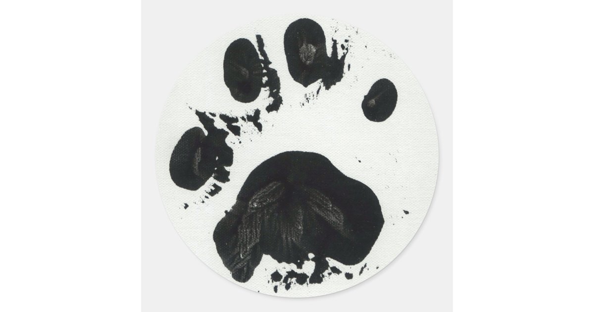 White Tiger Paw Print Sticker (Small) | Zazzle