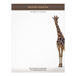 Animals Letterhead | Zazzle CA